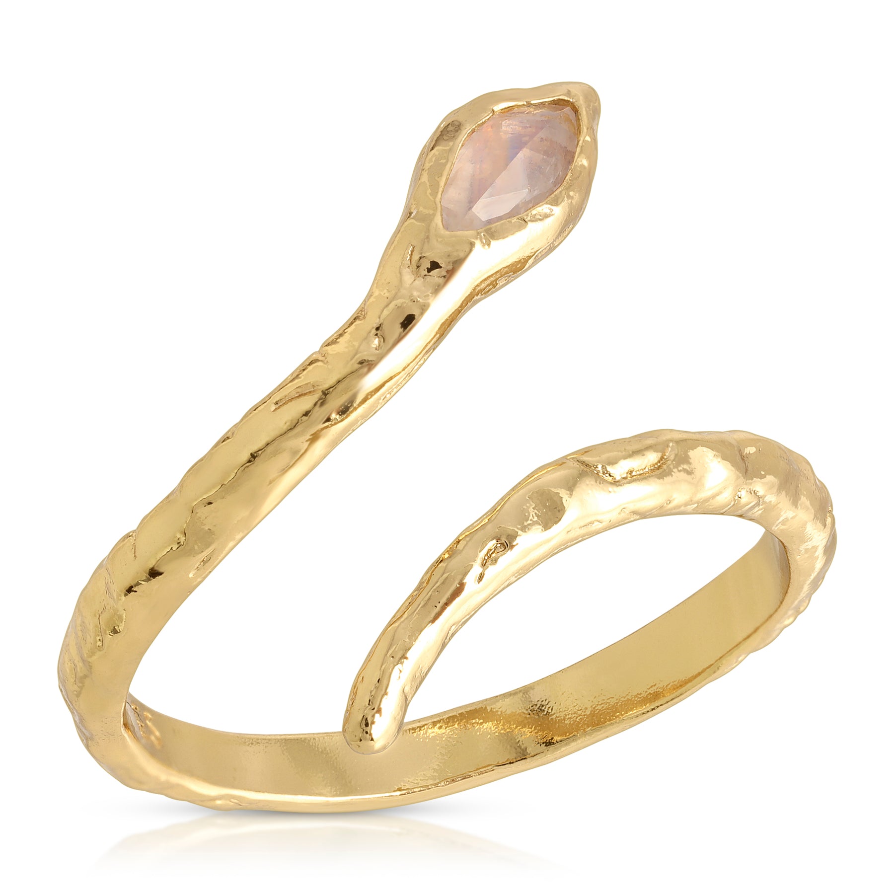 Rings – Elizabeth Stone