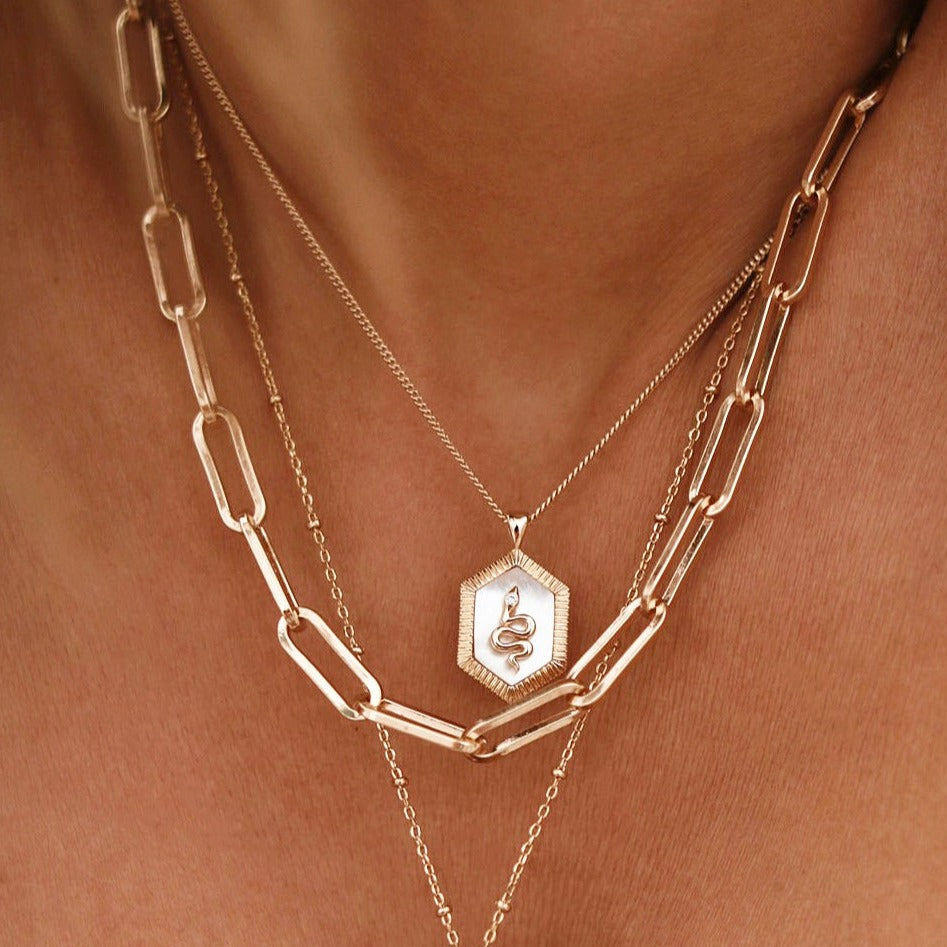 New Arrivals – Elizabeth Stone